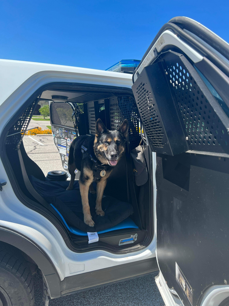 vector350.com – K9 Dog Boxes